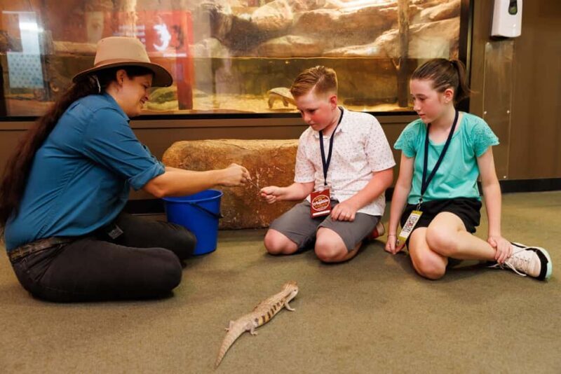 Darwin: Whipray Encounter with Entry to Crocosaurus Cove - An In-Depth Look at the Whipray Encounter in Darwin