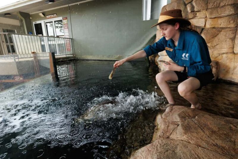 Darwin: Whipray Encounter with Entry to Crocosaurus Cove - Final Thoughts: Who Will Love This Experience?