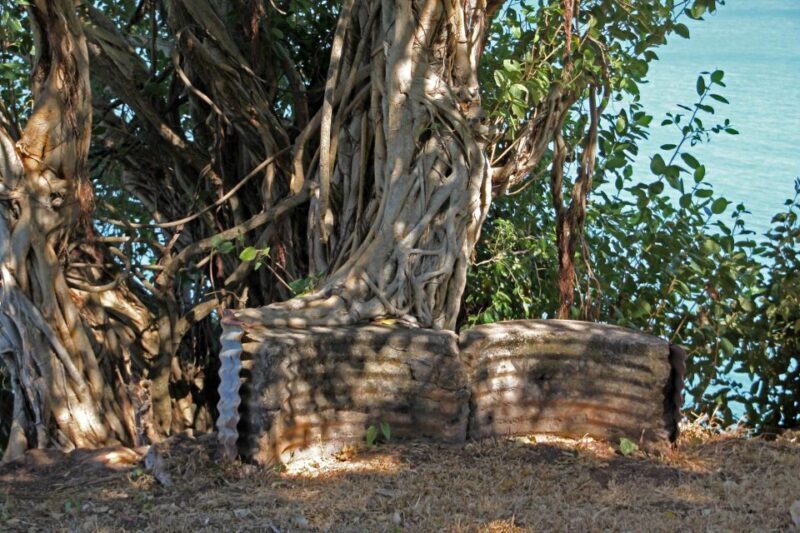 Darwin: WWII Reflections - Why This Tour Stands Out