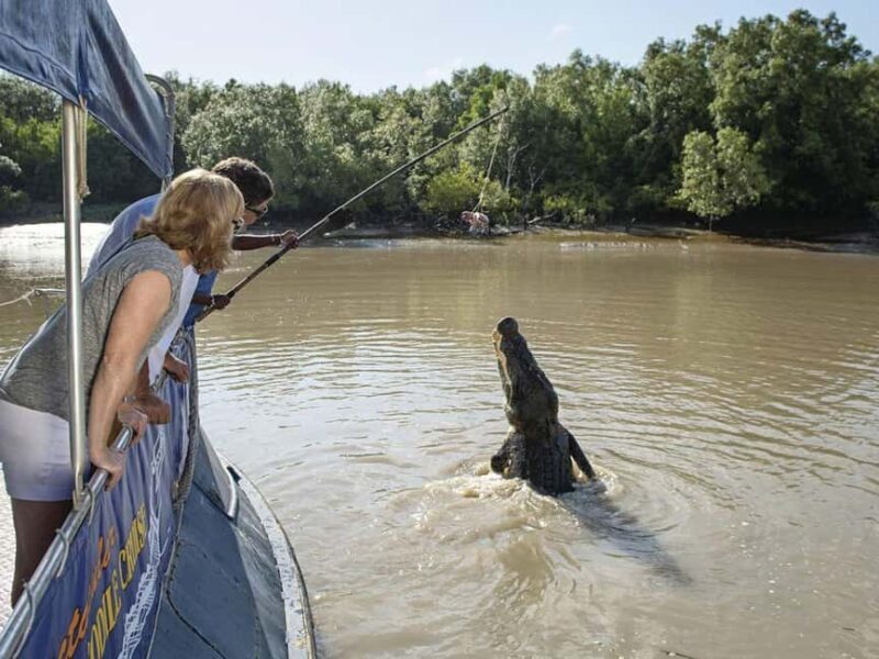 Darwin6 Day Darwin Tour Package - An In-Depth Look at the Itinerary
