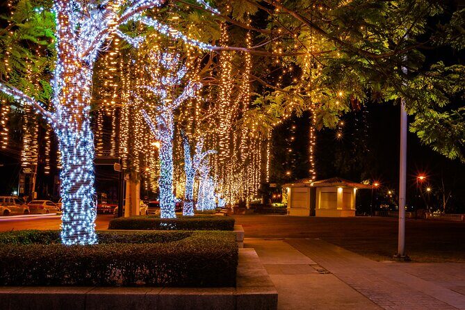 Darwins Christmas Charm Festive Walking Tour - A Walk Through Darwin’s Holiday Charm