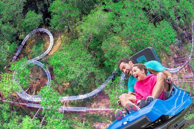 Datanla New Alpine Coaster Experience Pass in Vietnam - Key Points