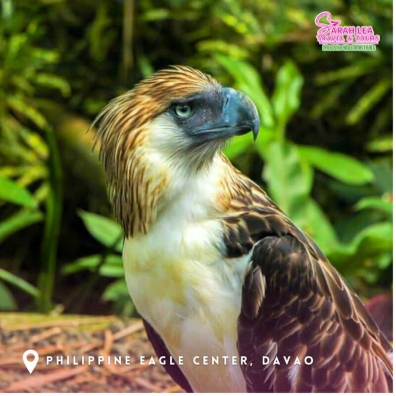 Davao City: Guided Tour with Transfers and Entry Fees - FAQ