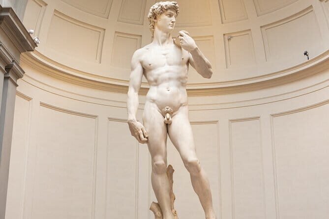 David Accademia Gallery Vip Guided Tour With Skip The Line Entry - An In-Depth Look at the Experience