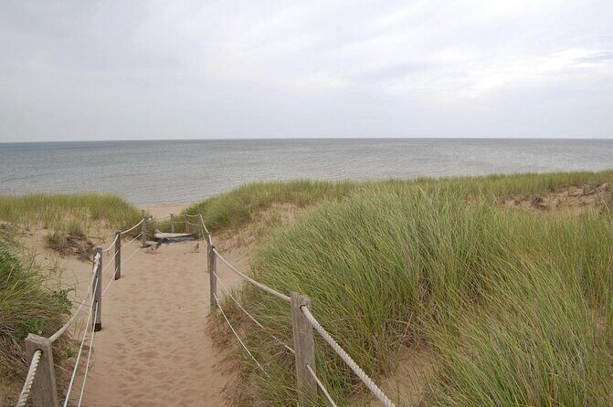 Davids North Shore Tour - Exploring the North Shore of Prince Edward Island: A Practical Review of David’s North Shore Tour