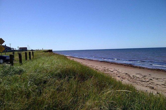 Davids North Shore Tour - FAQs
