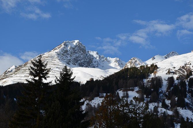 Davos - Private walking tour - What Makes This Tour Worth Considering?