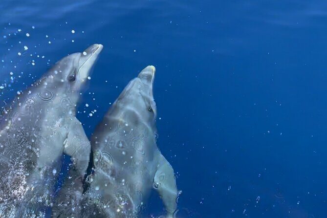 Day at Scandola and Calanques de Piana in a small group - Experience the Beauty of Corsica with a Small-Group Boat Tour