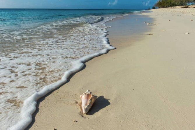 Day At The Beach With Lunch And Drinks for Cruise Guests - An Authentic Taste of Grand Turk’s Beach Life