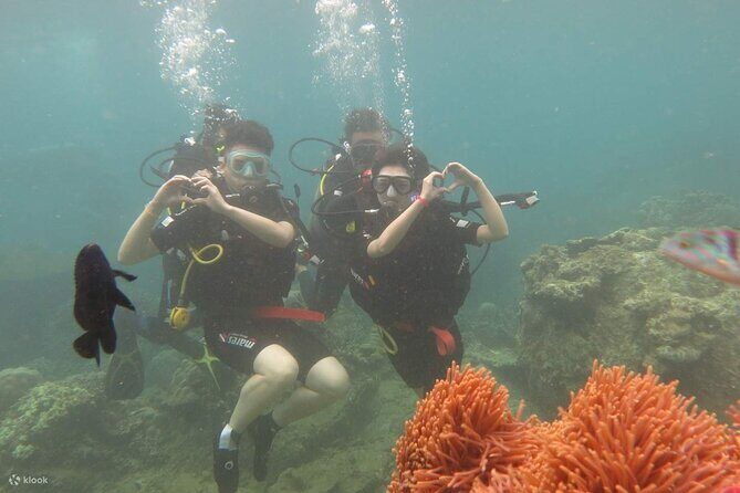 Day Cruise Exploring Nha Trang BayNha Trang - Setting Sail: What to Expect on the Water