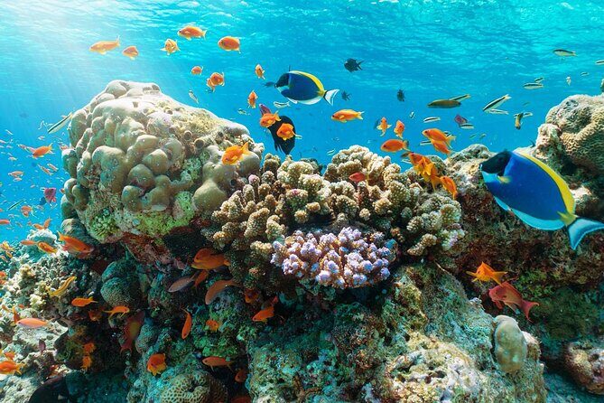 Day Cruise Exploring Nha Trang BayNha Trang - What Travelers Love