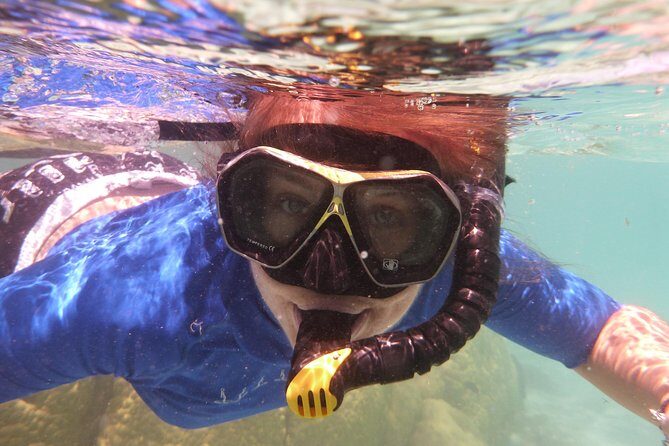 Day Cruise & Island Tour - Snorkel/Wildlife/Paddleboard/Islands - Introduction: What’s this tour all about?