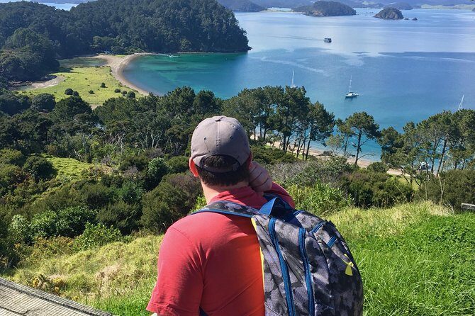 Day Cruise & Island Tour - Snorkel/Wildlife/Paddleboard/Islands - FAQ: Practical Questions Answered