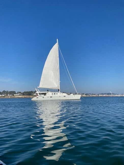 Day cruise on a maxi-catamaran in Quiberon Bay - Key Points