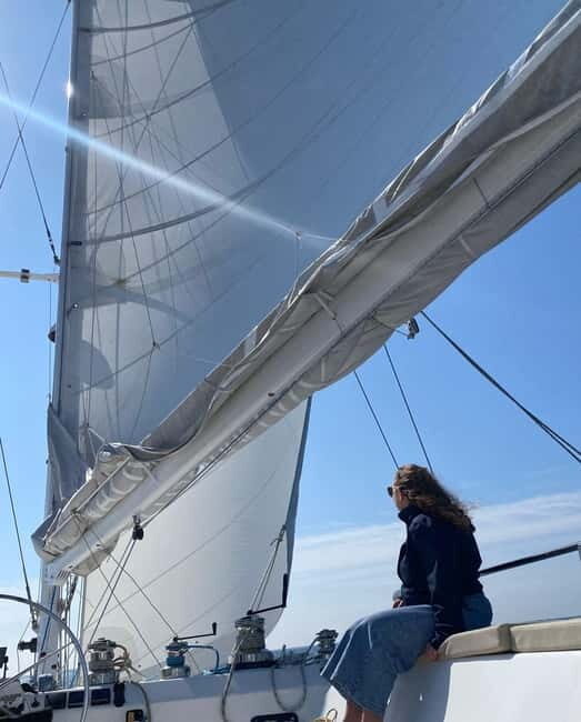 Day cruise on a maxi-catamaran in Quiberon Bay - On-Island Activities and Free Time