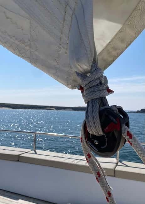 Day cruise on a maxi-catamaran in Quiberon Bay - The Experience and Its Value
