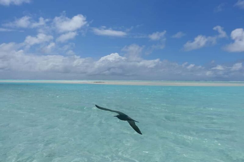Day cruises to Tetiaroa - The Experience on the Water and Beyond