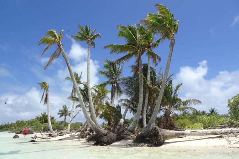 Day cruises to Tetiaroa - FAQs