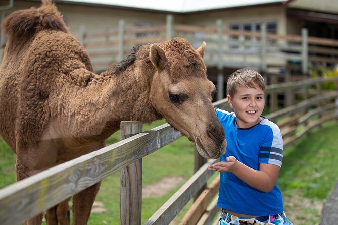 Day Entry ticket - A Genuine Look at White Ridge Farm’s Day on the Farm Experience