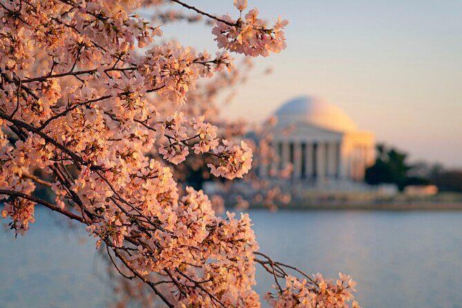 Day Escape to Nations Capital:Washington D.C. Day Trip from NYC - Flexibility & Additional Considerations