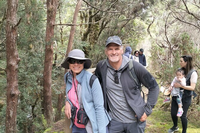 Day Excursion Burnie Cradle Mt National Park - The Experience and Value