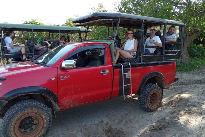 Day Excursion from Colomb to Yala Safari (Leopard Safari Tour) - Introduction: What to Expect from This Safari