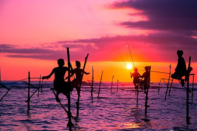 Day Excursion from Colomb to Yala Safari (Leopard Safari Tour) - What Travelers Are Saying