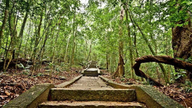 Day Excursion Sigiriya, Dambulla & Ritigala Archaeological - A Practical Look at the Sigiriya, Dambulla & Ritigala Archaeological Day Tour