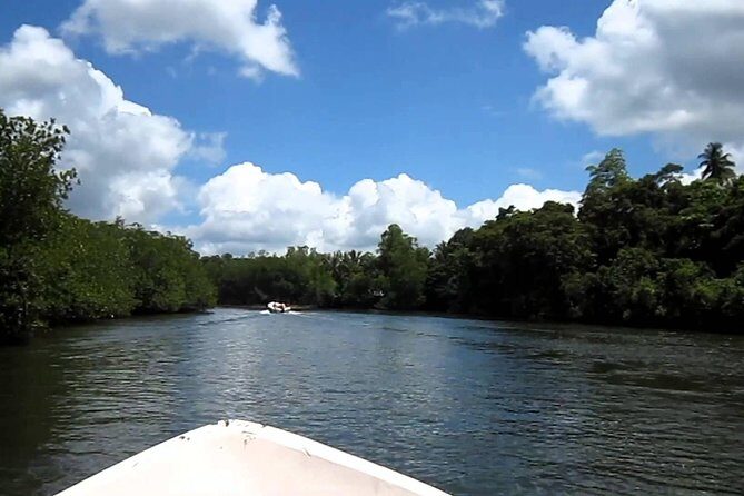 Day Excursion to Bentota from Colombo - Final Thoughts