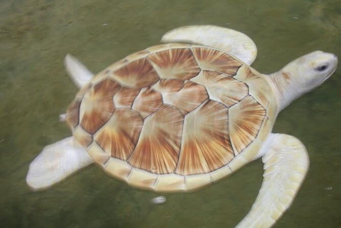 Day Excursion to Historical Galle - A Practical Overview of the Tour