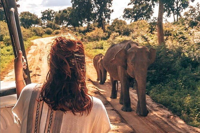 Day Excursion to Udawalawe from Colombo - Exploring Udawalawe from Colombo: An Authentic Wildlife Getaway
