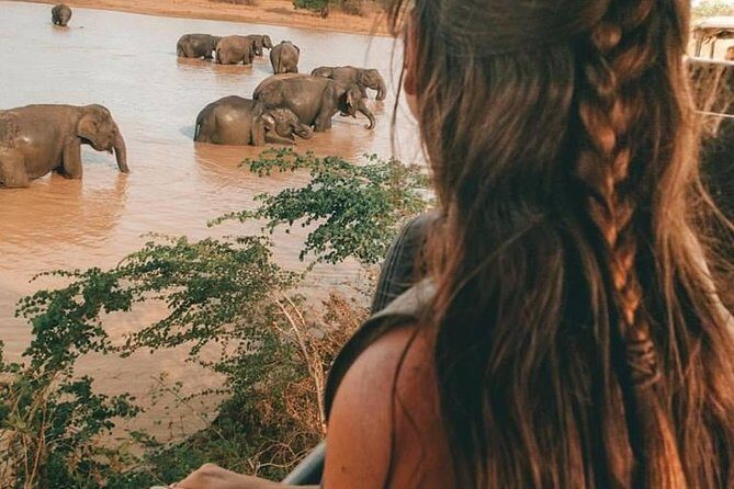 Day Excursions to Minneriya National Park Safari From Negombo - Breaking Down the Itinerary