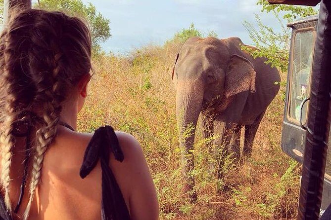 Day Excursions to Udawalawe From Wadduwa - Key Points