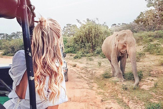 Day Excursions to Udawalawe From Wadduwa - Cost and Value Analysis