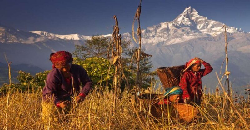 Day Hike at Annapurna Foothills - Who Will Love This Experience?
