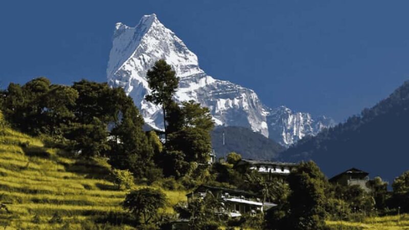 Day Hike from Dhampus to Australian Camp with Lunch - Key Points