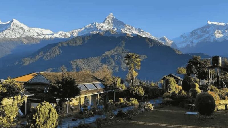 Day Hike from Dhampus to Australian Camp with Lunch - Starting Point: From Pokhara to Dhampus