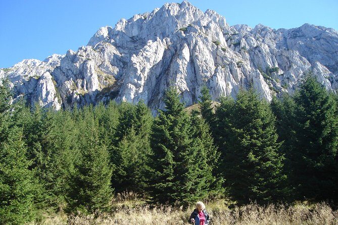 Day Hike in Carpathian Mountains for all levels in five areas - The Sum Up: Who Is This Tour Best For?