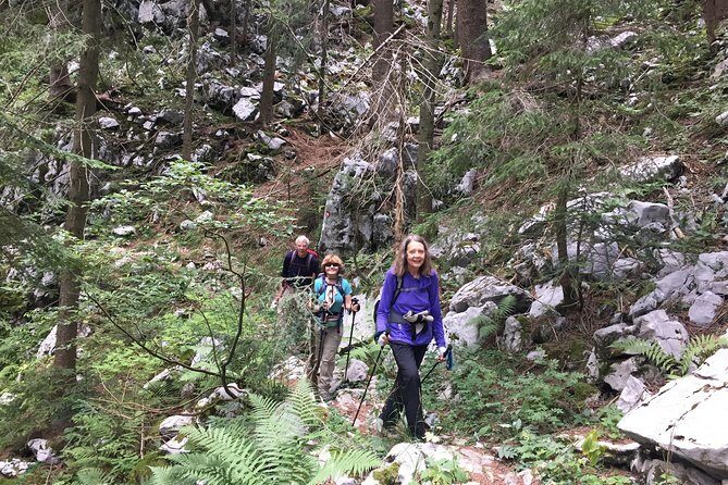 Day Hike in National Park Risnjak from Zagreb - The Guides and Their Impact on the Experience