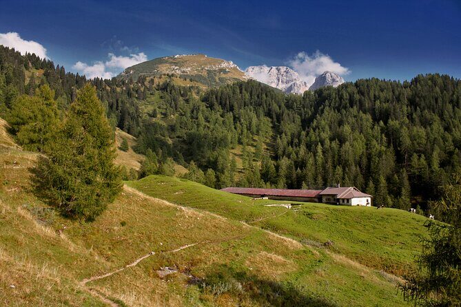 Day Hike in the Brenta Dolomites from Madonna di Campiglio - Key Points
