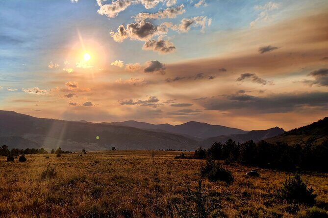 Day Hike in Yellowstone - Who Should Consider This Tour?