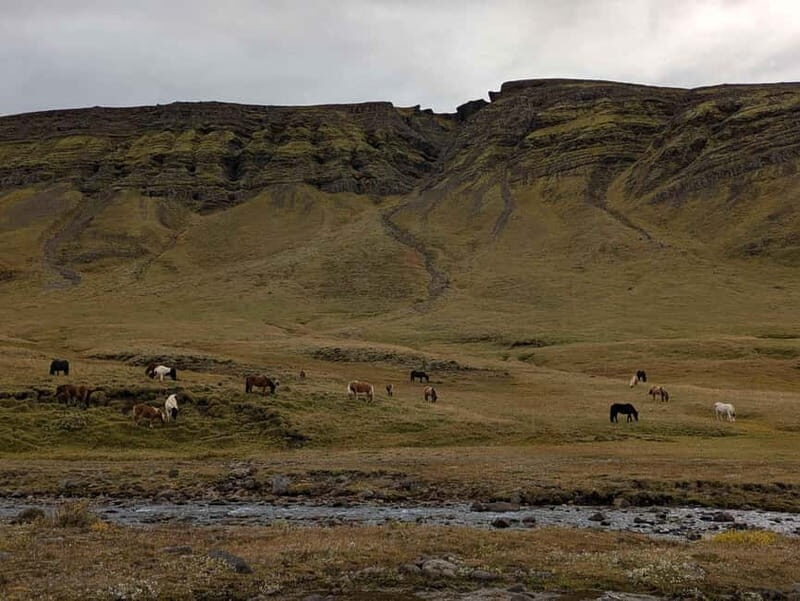 Day Hike to Grimannsfell: Waterfall & Legacy - moderate - Setting the Scene: What This Tour Offers