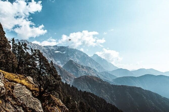Day Hike to Triund - An In-Depth Look at the Triund Day Hike