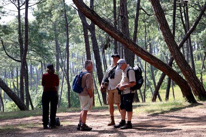Day Hiking from Chandragiri Hill to Hattiban from Kathmandu - The Itinerary in Detail