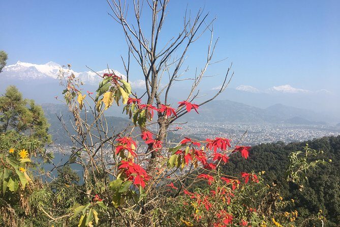 Day Hiking from Sarangkot to World Peace Pagoda from Pokhara - FAQ
