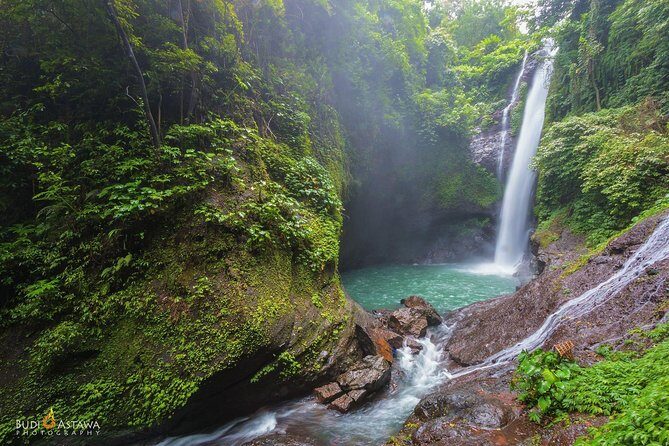 Day in Lovina - Key Points