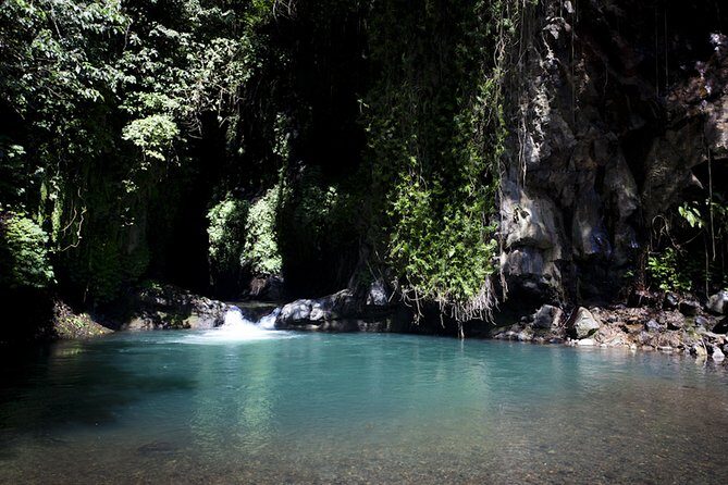 Day in Lovina - Why This Tour Might Be Perfect for You