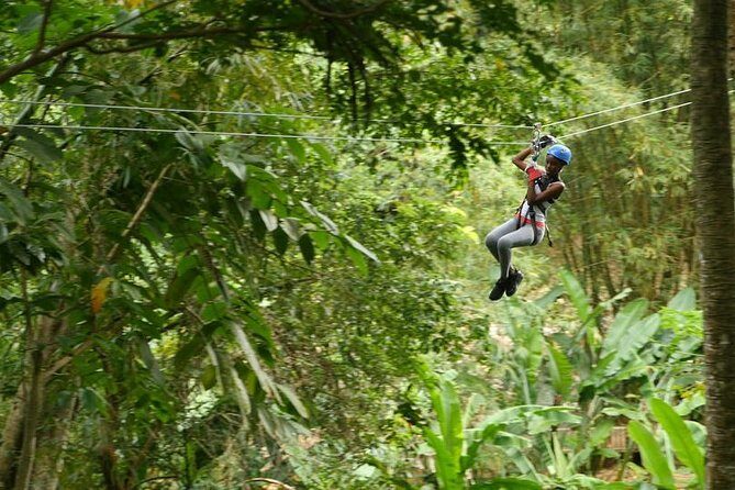 Day of Adventure - Zipline and Hike or Bike - Introduction