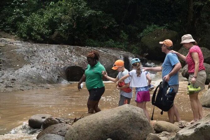 Day of Adventure - Zipline and Hike or Bike - Ziplining: The Heart of the Adventure