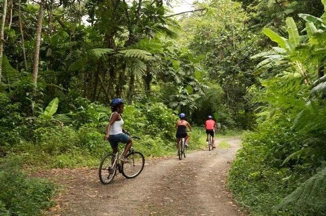 Day of Adventure - Zipline and Hike or Bike - Choosing Your Adventure: Hike or Bike